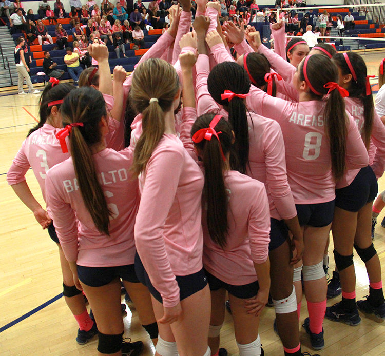 Girls Volleyball Takes on FSHA in 5th Annual Dig Pink Event to Fight ...
